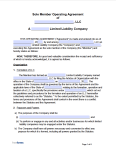 Free Single-Member LLC Operating Agreement Template | PDF | Word