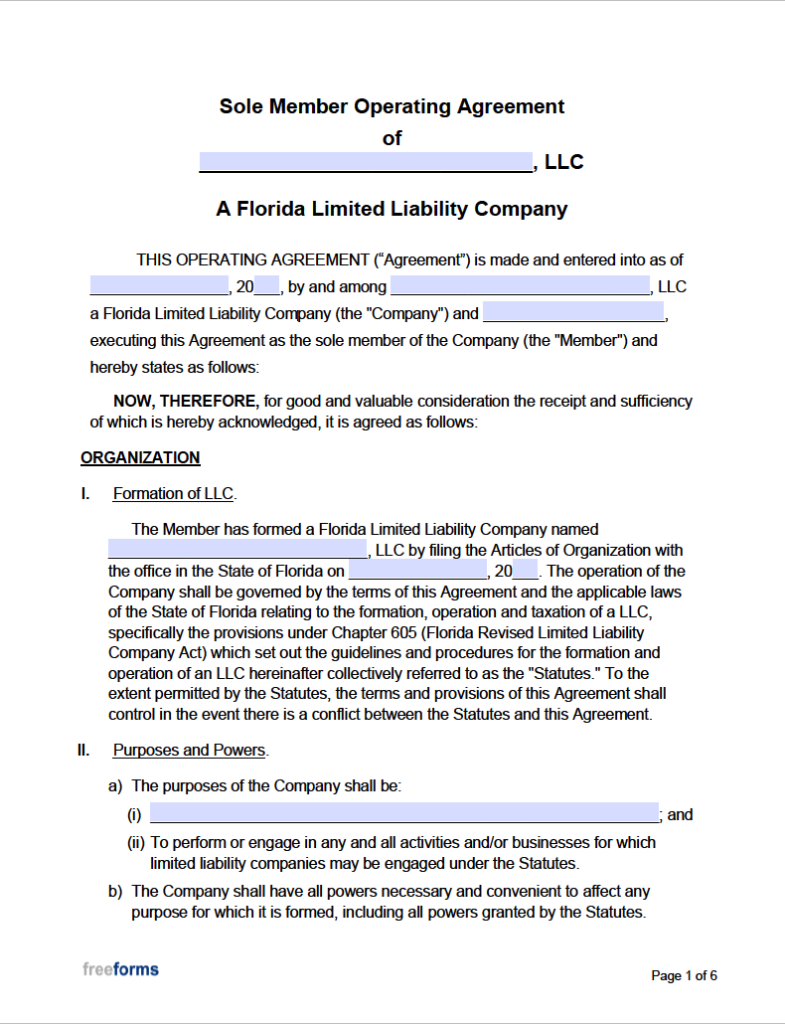 Free Florida LLC Operating Agreement Template | PDF | Word