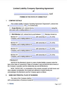 Free Connecticut LLC Operating Agreement Template | PDF | WORD