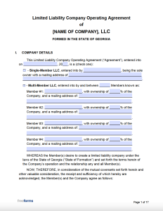 Free Georgia LLC Operating Agreement Template | PDF | Word