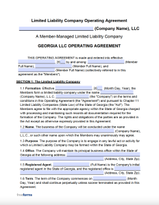 Free Georgia LLC Operating Agreement Template | PDF | Word
