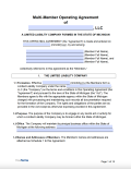 Free Michigan Multi-Member LLC Operating Agreement Form | PDF | Word