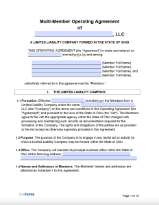 Free Ohio LLC Operating Agreement Template | PDF | WORD